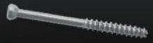 ANATOMICAL SITE :: - :: Arthrex QuickFix Screw