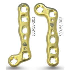 ANATOMICAL SITE :: Foot :: VLC "L" Plate