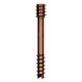 ANATOMICAL SITE :: Foot :: Dart-Fire Headless Cannulated screw